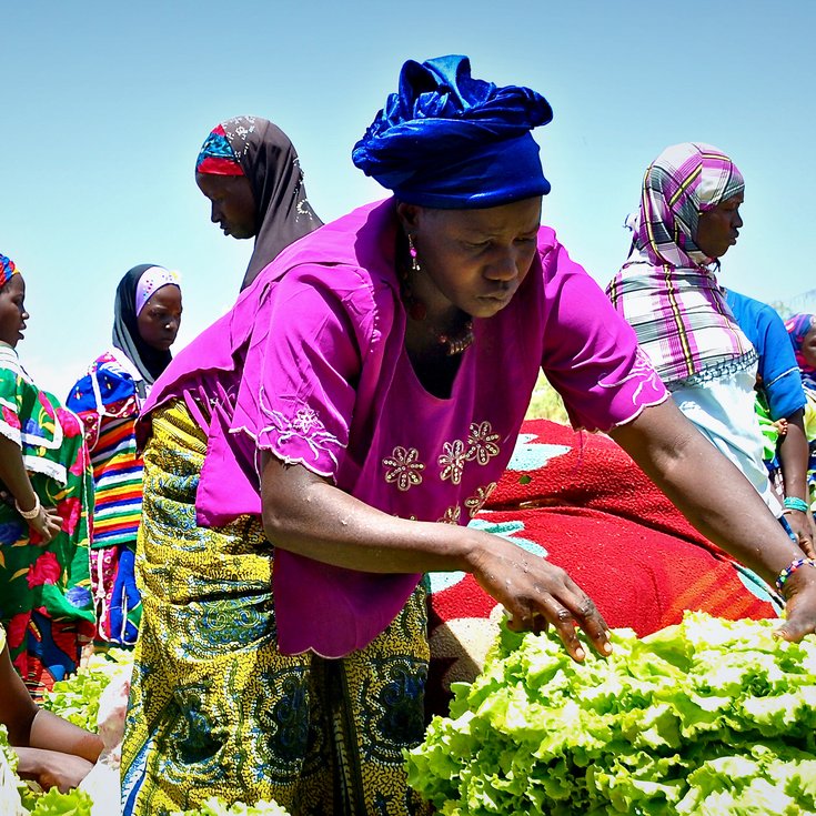 Deep-rooted causes of farmer–herder conflicts and impact on local food ...
