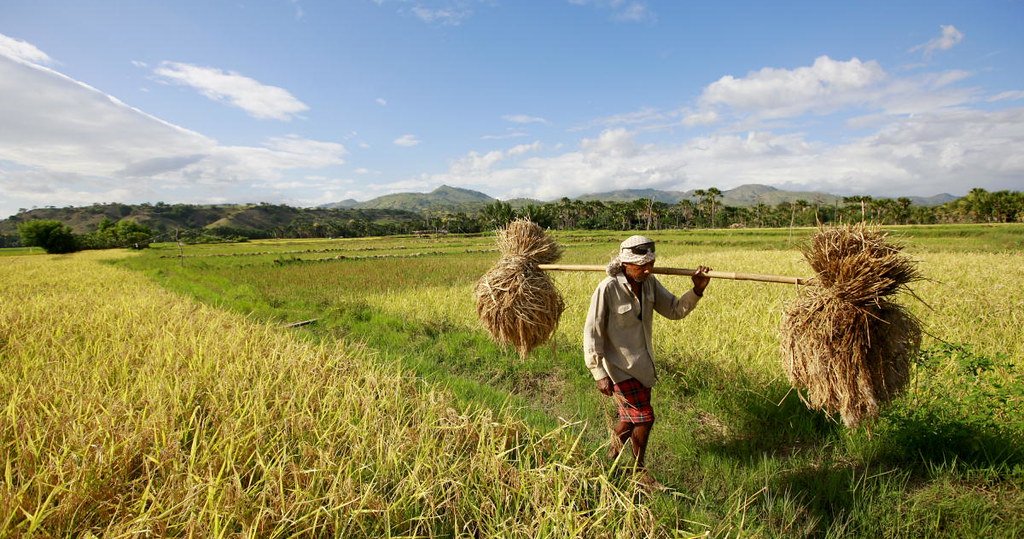 The essential role of climate information systems for early action ...
