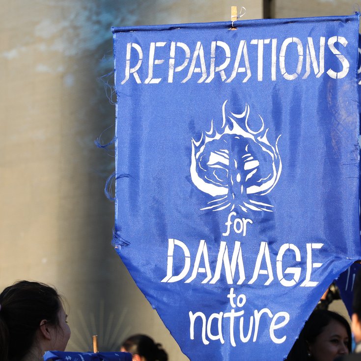 What do we have to lose? Understanding and responding to climate ...