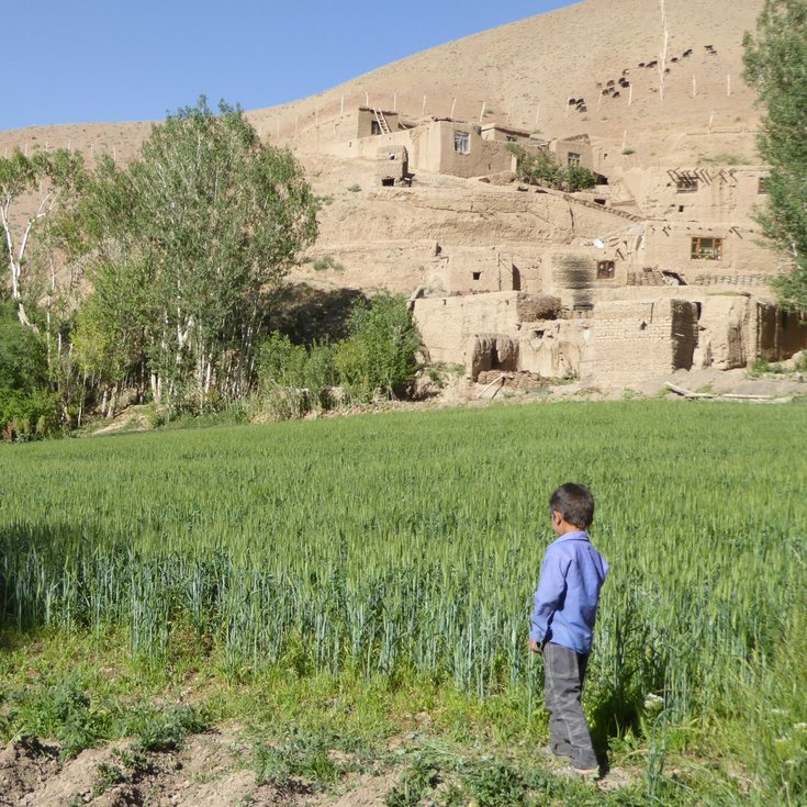 Global Food Security Summit | ODI: Think change