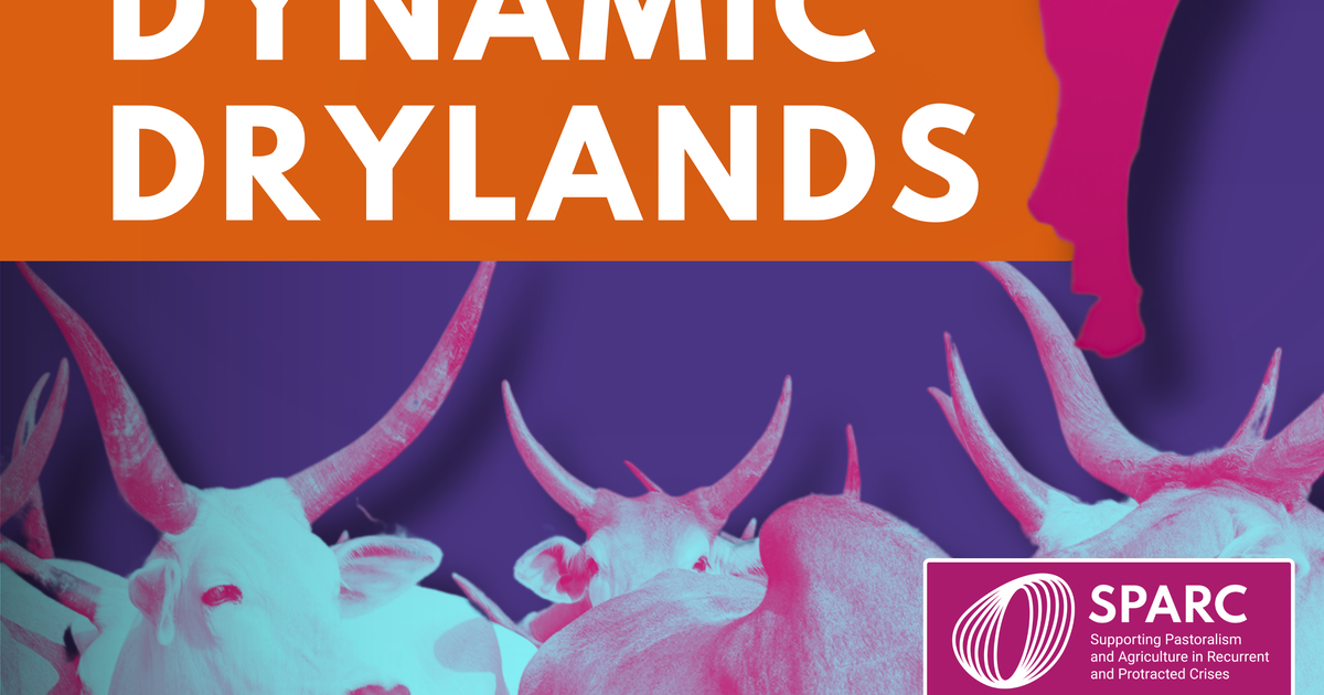 Dynamic Drylands s2, episode 4: Development on the margins: how should ...