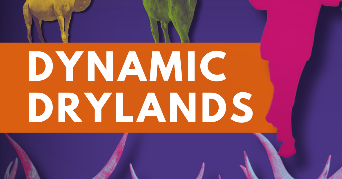 Dynamic Drylands episode 1: Do we need to rethink aid in the drylands ...