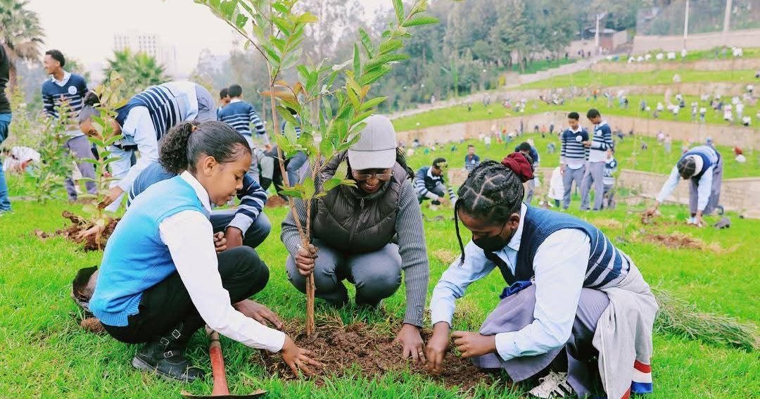 Africa’s climate moment demands real allies | ODI: Think change