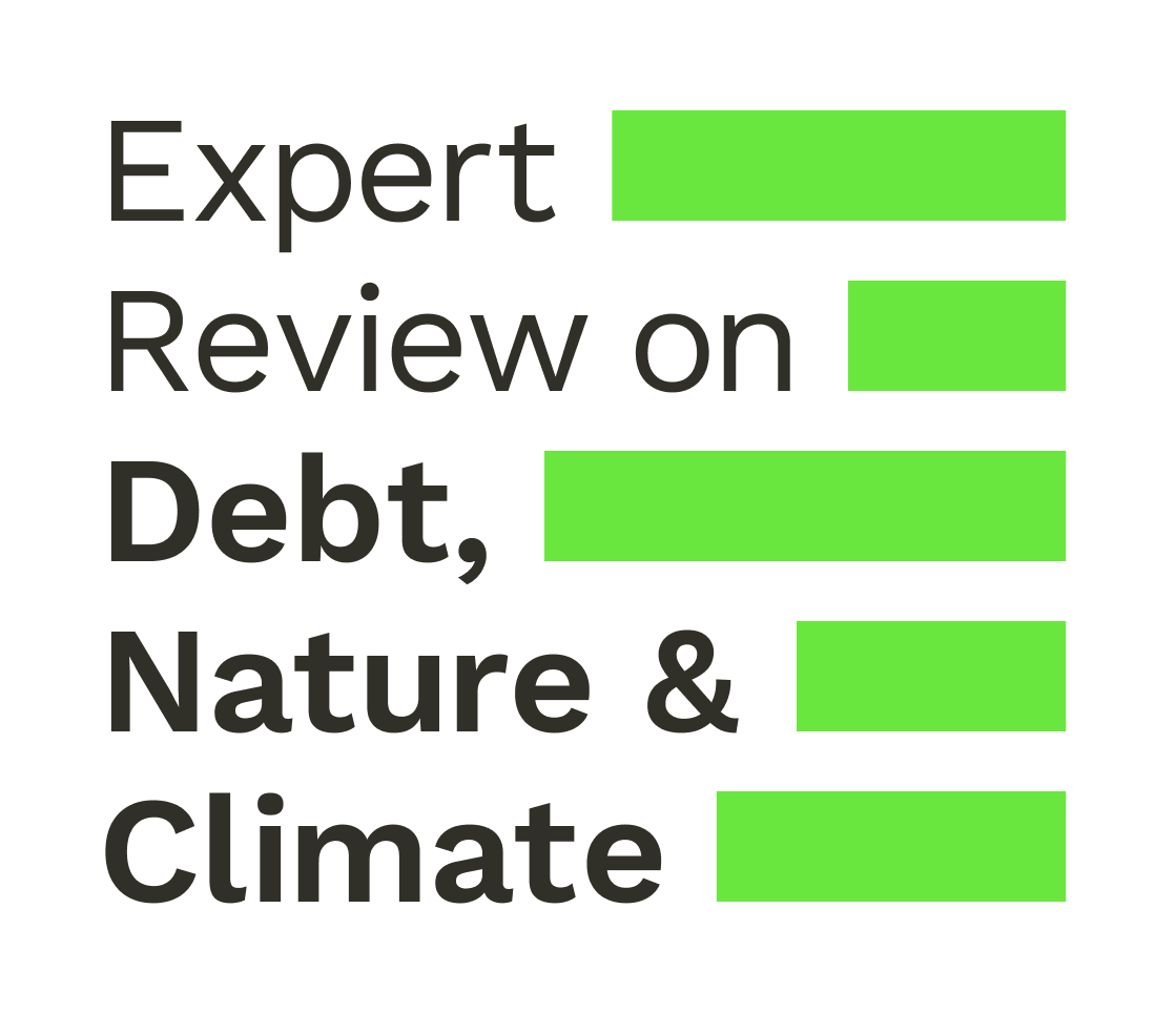 Launch of Healthy Debt on a Healthy Planet: the Final Report of the ...