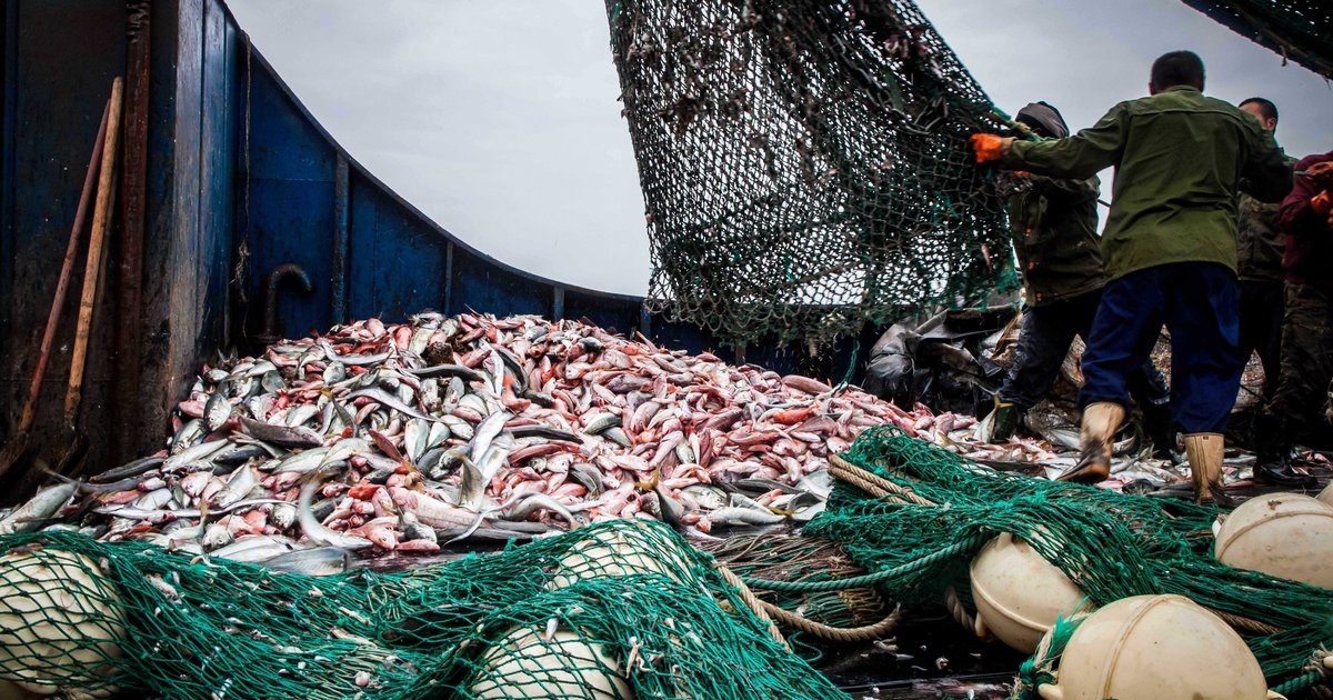 Estimating the impact of irregular and unsustainable fishing of distant ...