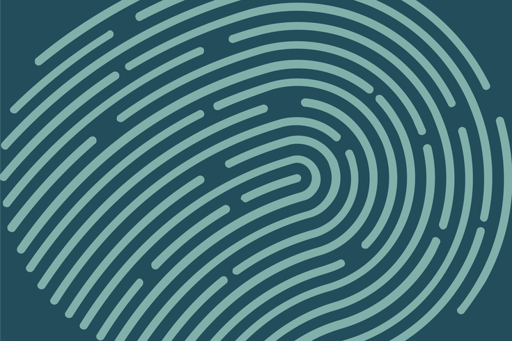 Digital identity, biometrics and inclusion in humanitarian responses to ...