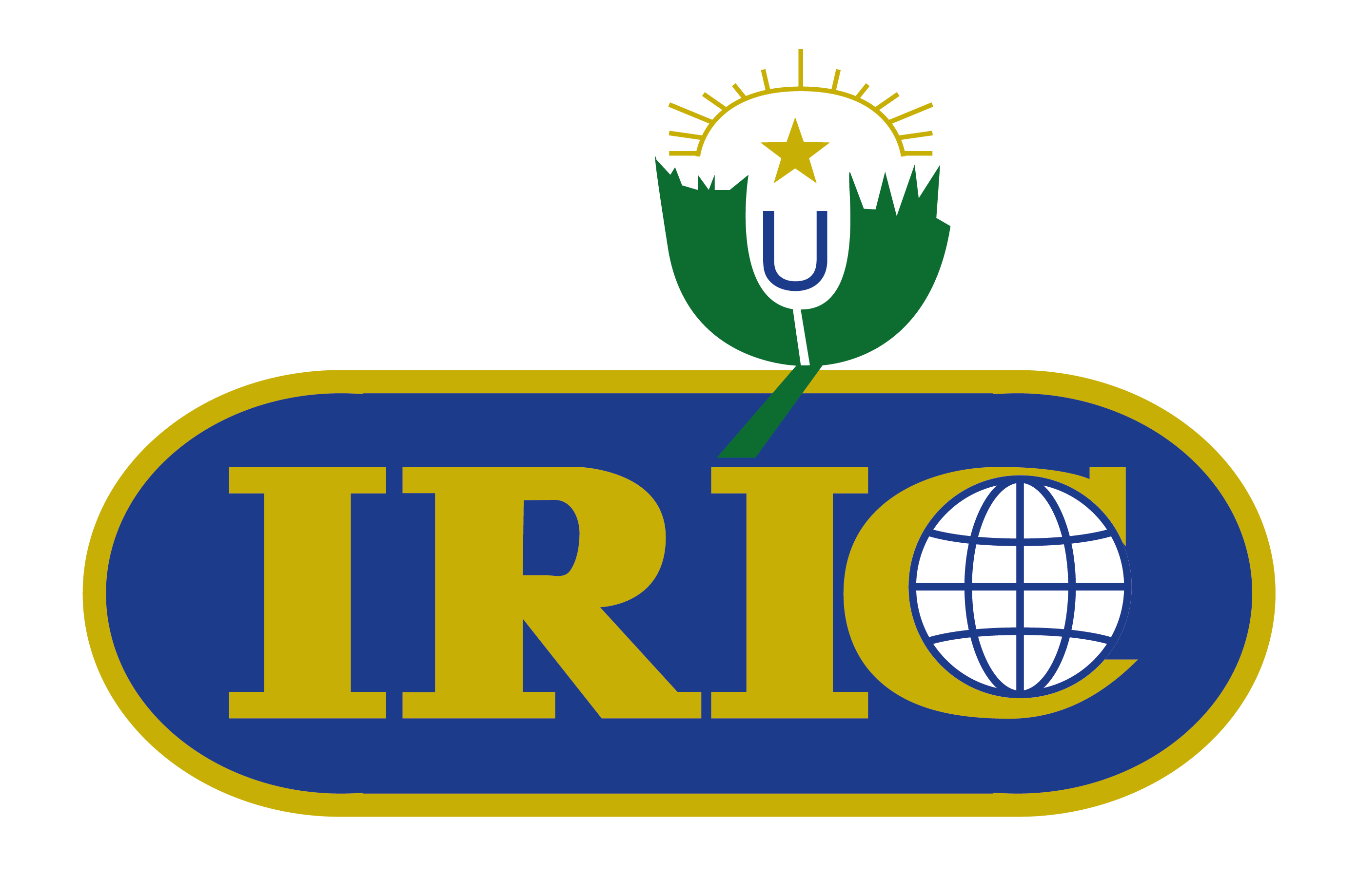 Africa's role in shaping WTO reform for a sustainable and inclusive ...