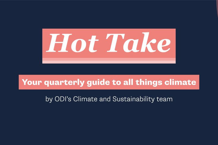 Climate and Sustainability | ODI: Think change