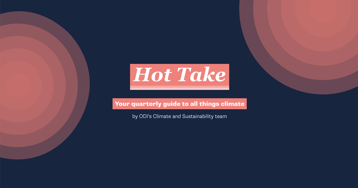 Hot Take: December 2024 | ODI: Think change