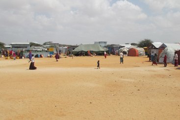 Internally displaced persons, rural–urban migrants, urban poor… what’s ...