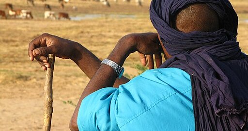 Deep-rooted causes of farmer–herder conflicts and impact on local food ...