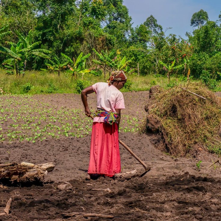 Deep-rooted causes of farmer–herder conflicts and impact on local food ...