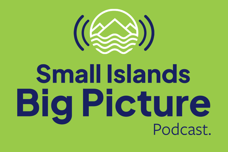 Have health outcomes in small islands recovered a half decade after the ...