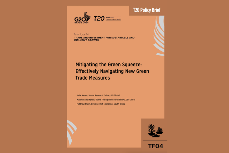 Green industrial policy: how G20 members can foster better practices ...