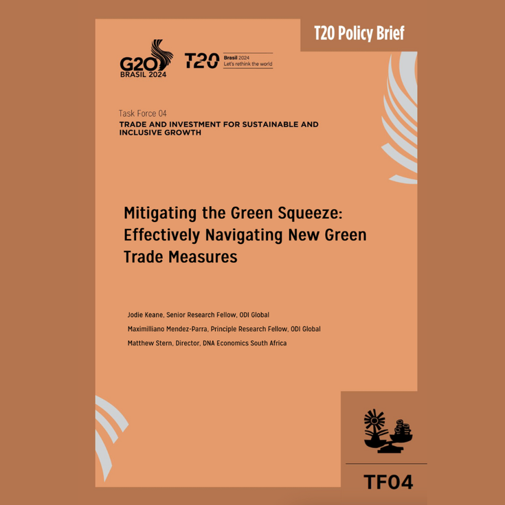Green industrial policy: how G20 members can foster better practices ...