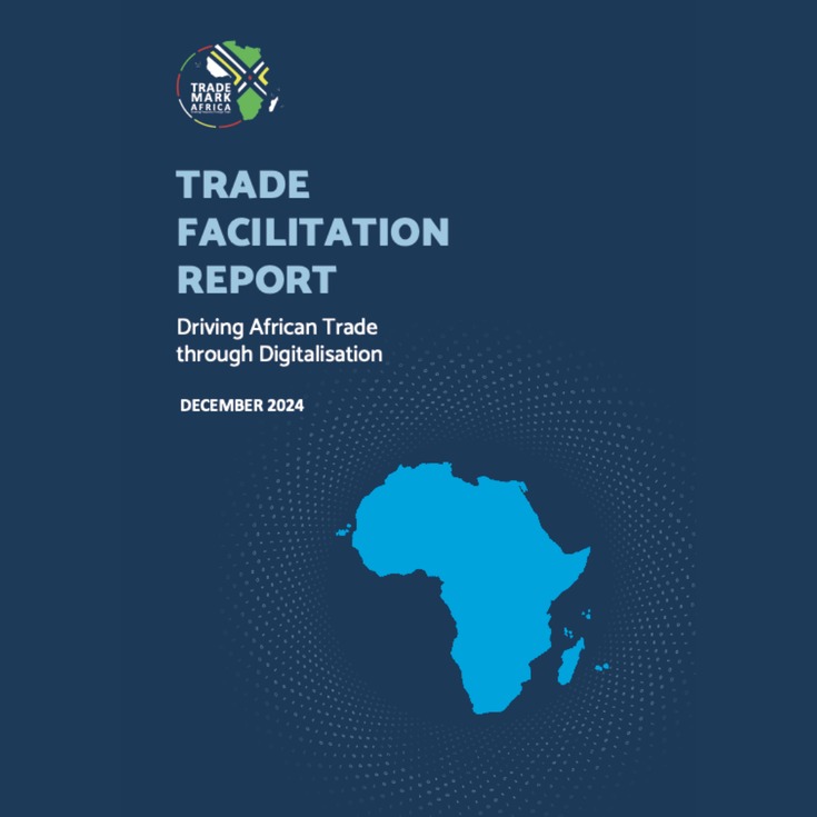 Implementing the Digital Trade Protocol of the African Continental Free ...