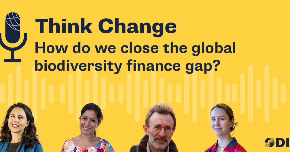 Think Change episode 51: how do we close the global biodiversity ...