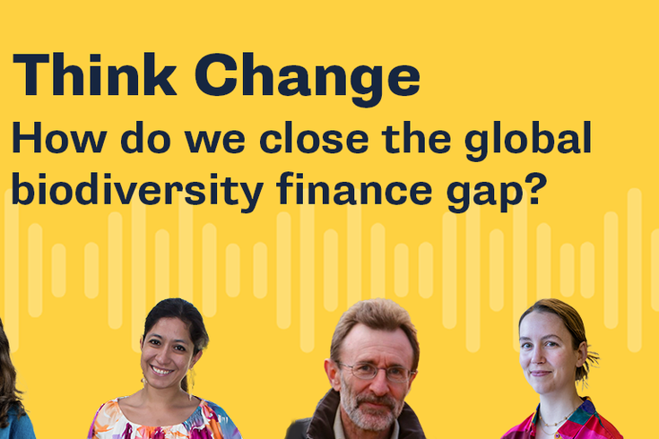 How African integration can help achieve food security | ODI: Think change