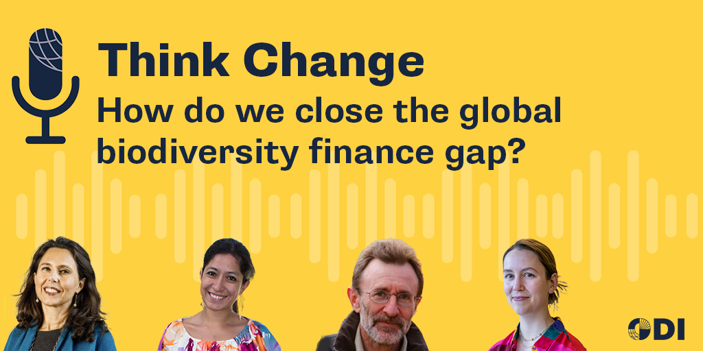 Think Change episode 51: how do we close the global biodiversity finance gap? | ODI: Think change