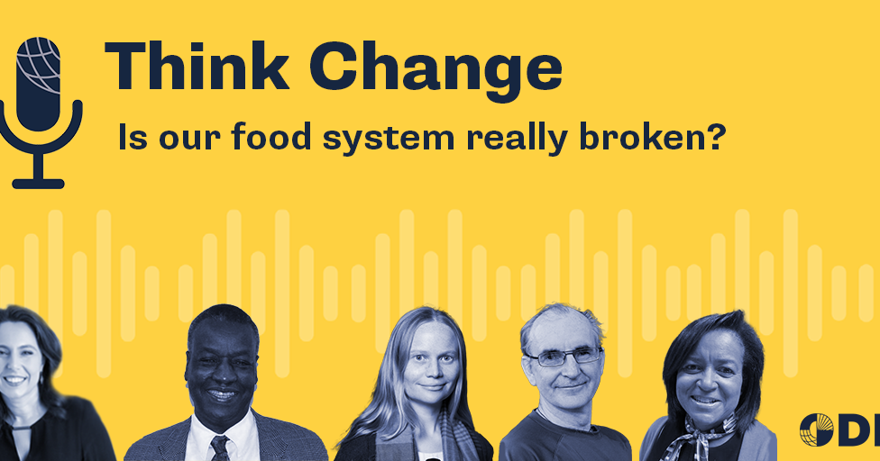 Think Change episode 34: is our food system really broken? | ODI: Think ...