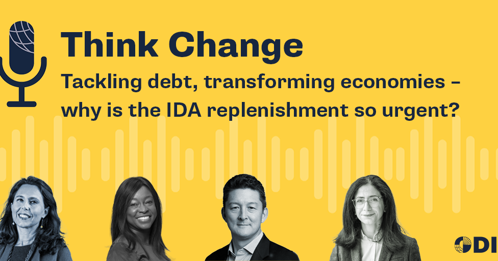Think Change episode 44: tackling debt, transforming economies - why is the IDA replenishment so ...