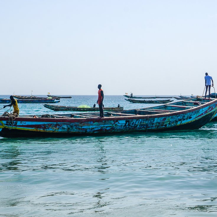 Investigating illegal, unreported, and unregulated fishing by Distant ...