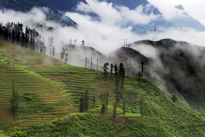 Country Platforms: the key to aligning national development priorities ...