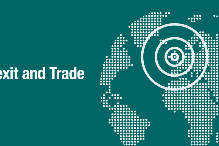 Principles, constraints and elements of a UK trade policy for ...