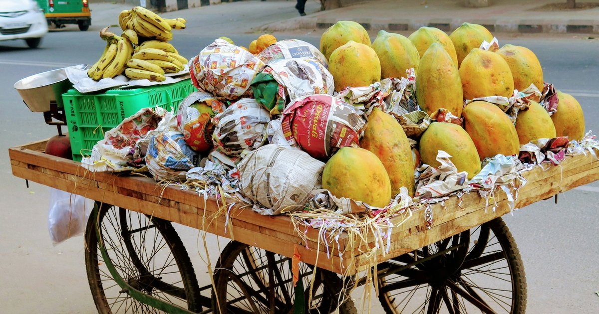 Climate resilience, food security and economic stability: an Africa ...