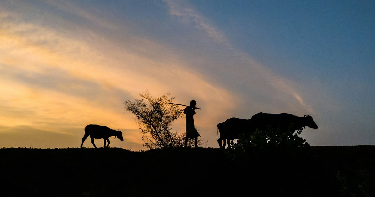 Universal principles of community-led local adaptation finance ...